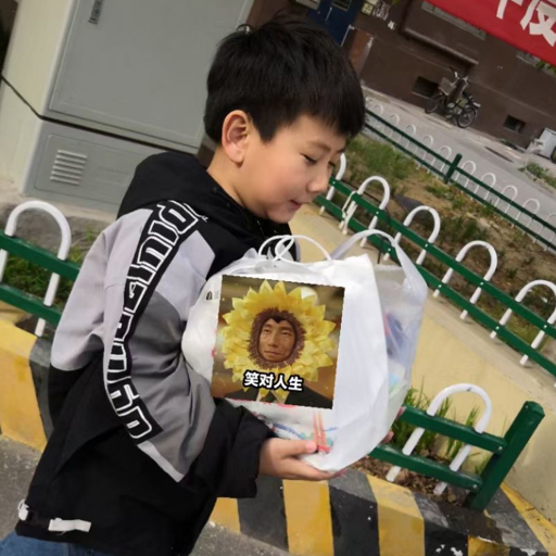 桃花岛岛主静哥哥 