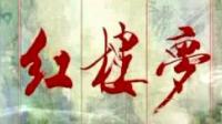 我在蒋勋细说红楼梦讲座(046回-052回)截取了一段小视频