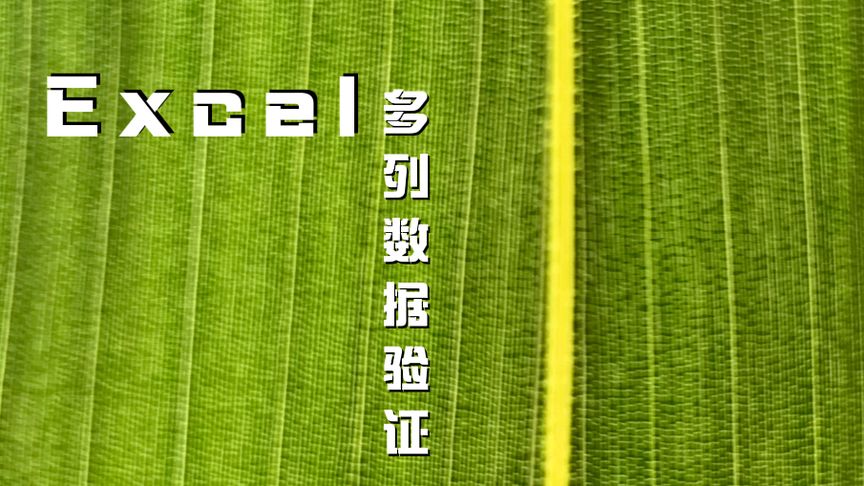 Excel 多列数据验证 数据有效性