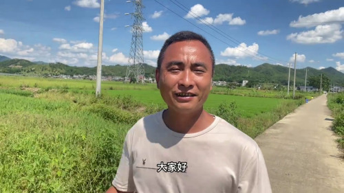 都说抛秧方法省时省力,没想到不到一个月,发现水稻越种越不对劲