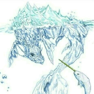 这里是茶壶 