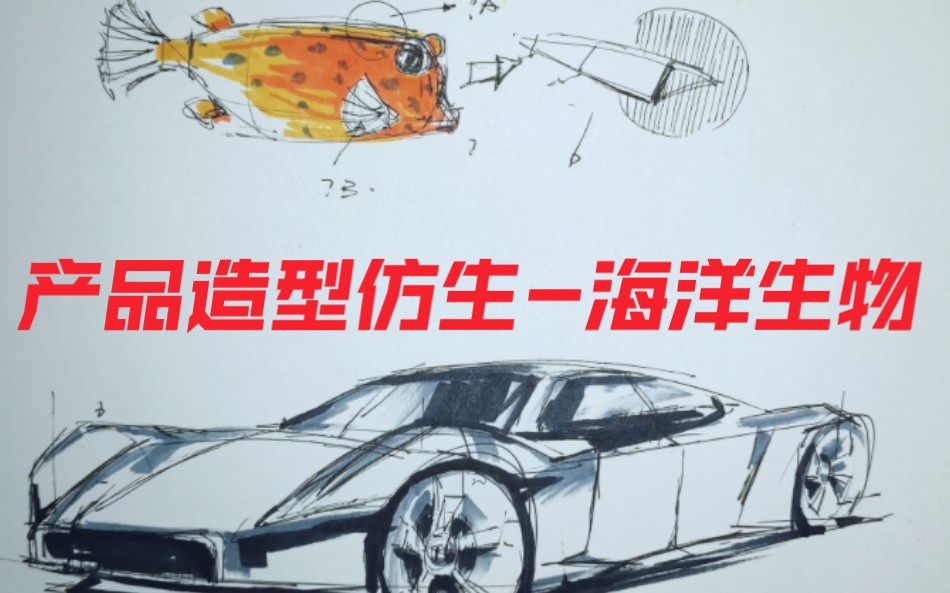 产品造型设计元素-海洋生物仿生形态表达