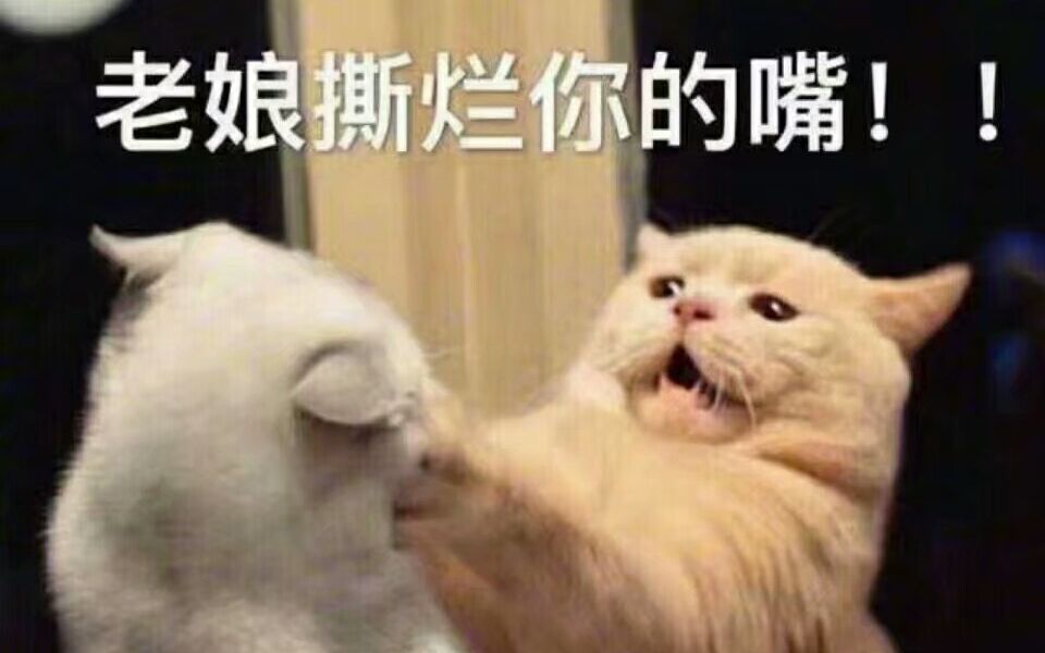 【女寝皆是修罗场】血 压 飙 升