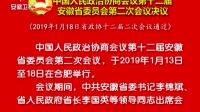 安徽新闻联播 2019 中国人民政治协商会议第十二届安徽省委员会第二...
