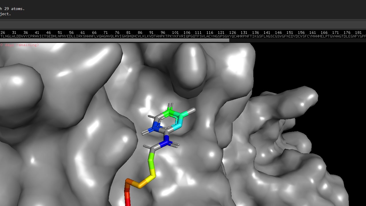 【Autodock/分子对接/pymol】利用Autodock和pymol进行分子对接处理