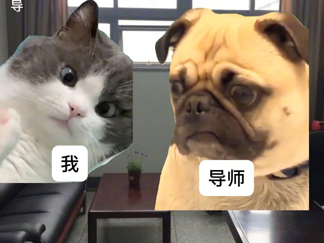 当你是导师首席开门弟子～