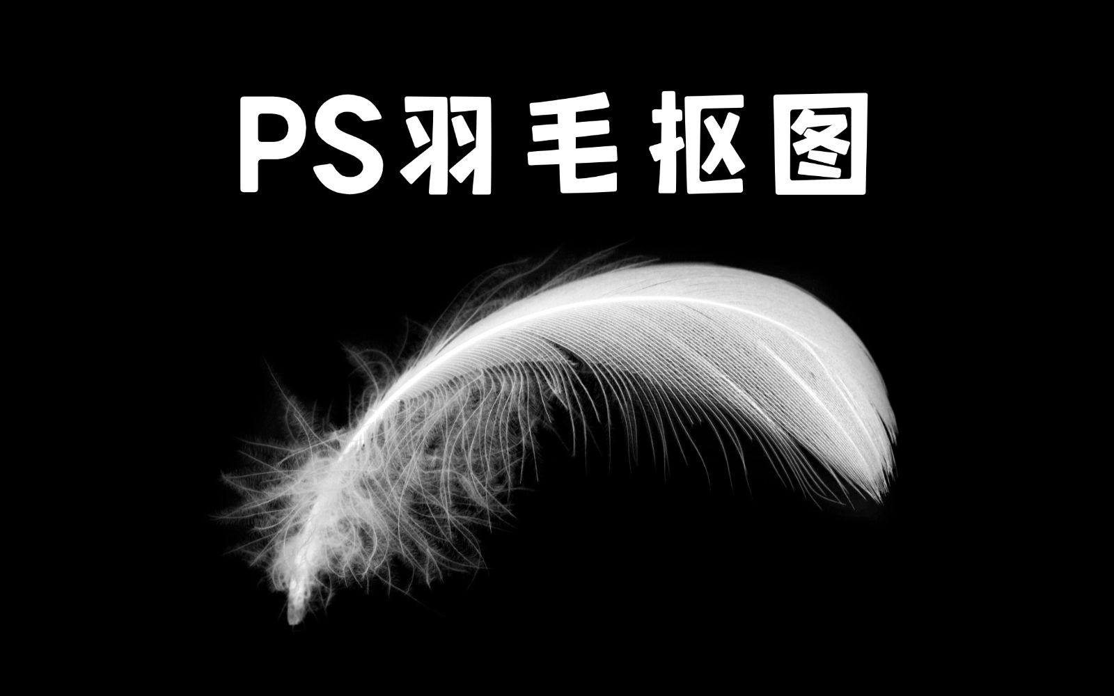 PS教程:橡皮擦工具-羽毛抠图技巧教学