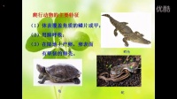 [5.1.5]两栖动物和爬行动物的比较