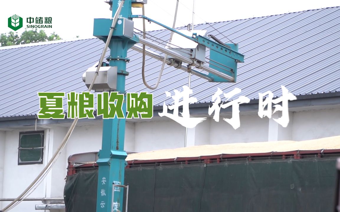 发挥中央储备粮轮换收购对市场带动作用,让农民的“好收成”变成“...