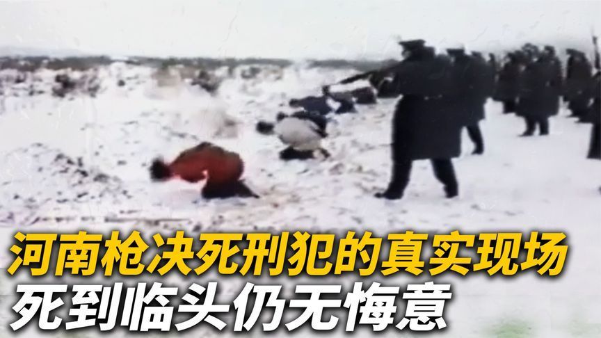 河南枪决死刑犯的真实现场