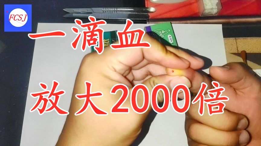 显微镜:血细胞放大2000倍,探索一滴血的微观世界