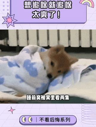 想追啥就追啥! #悟空浏览器