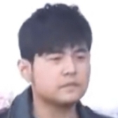 一只狗咬猫 