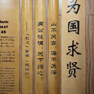 shabayefu 