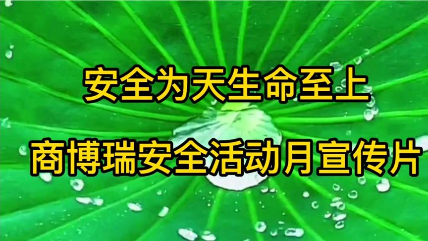 临清市商博瑞百货有限公司六月安全生产活动月宣传片