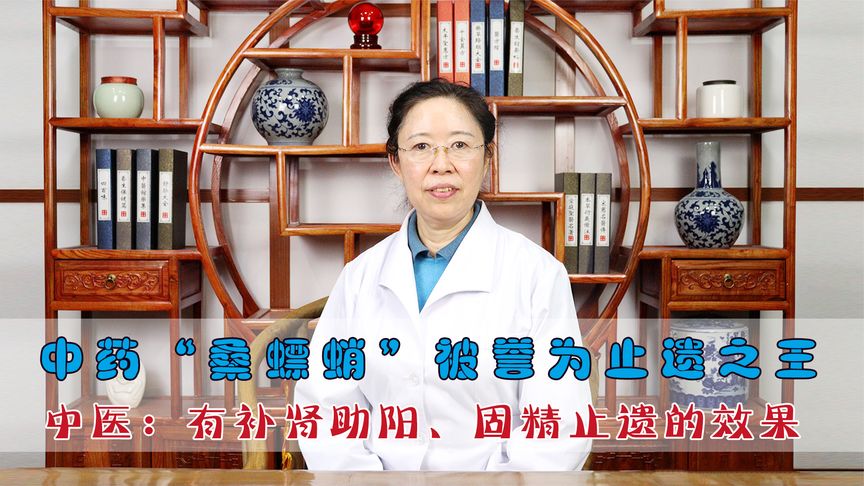 中医分享中药“桑螵蛸”,被誉为止遗之王,补肾助阳、固精止遗