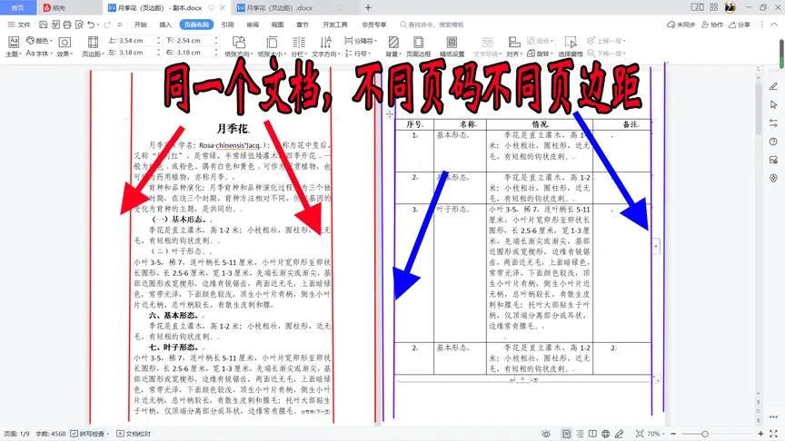 WPS文档如何单独设置某一页的页边距?同一个文档设置不同页边距