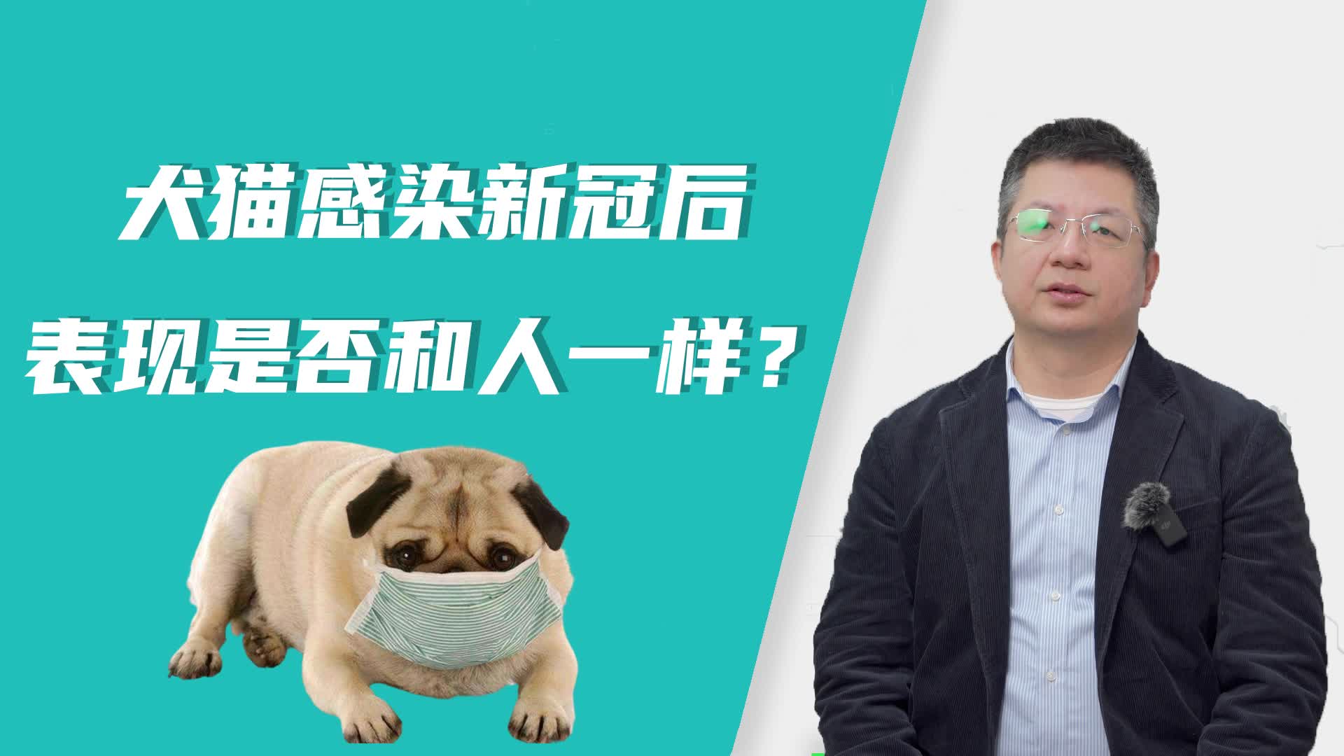 犬猫感染新冠后有什么症状?是否和人一样?