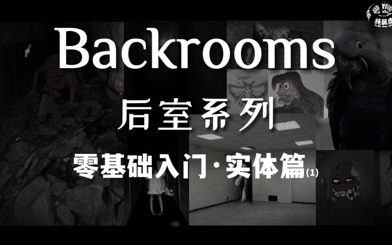 【Backrooms后室】第11期-入坑必看基础知识介绍-实体篇