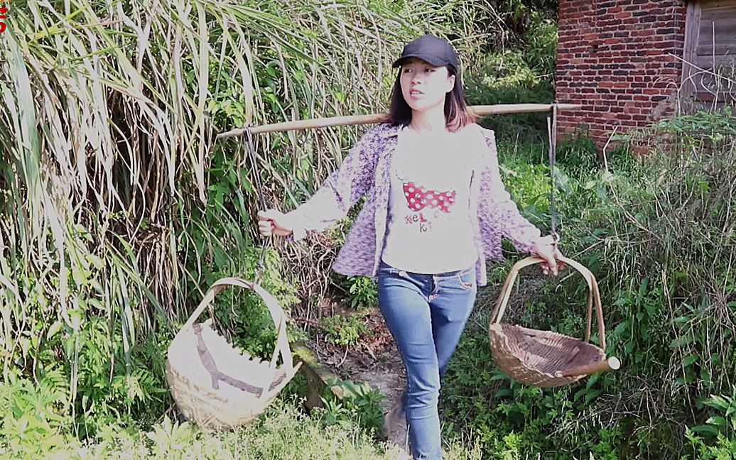 小诺挑一担畚箕去摘蔬菜,准备要摘多少菜哦?看看怎么说