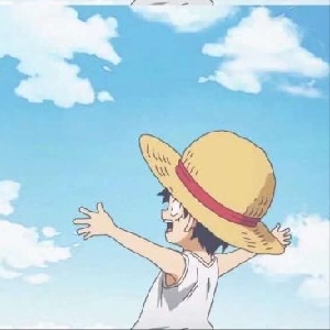 风驰blbl 