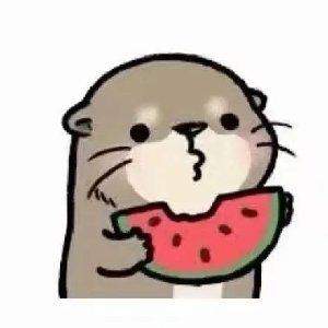 吃瓜的水獭 