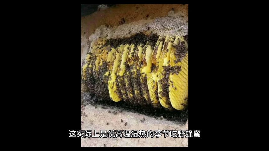 7月生蜜吃不得!吃野蜂蜜中毒的原因,哪种蜂蜜更安全?