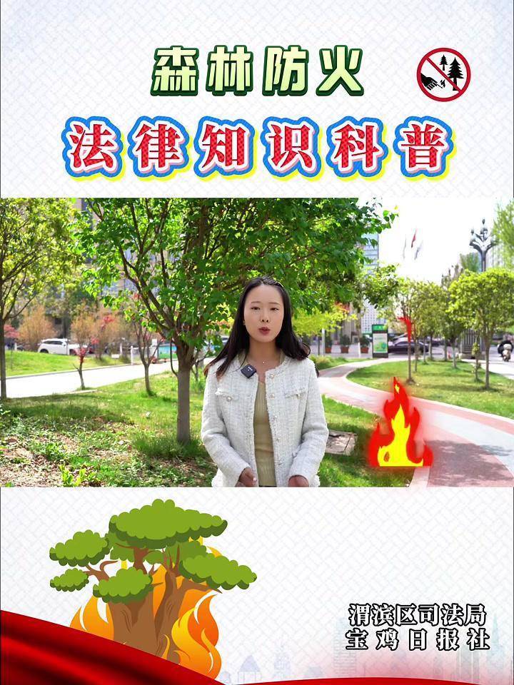 森林防火法律知识科普#宝鸡#普法