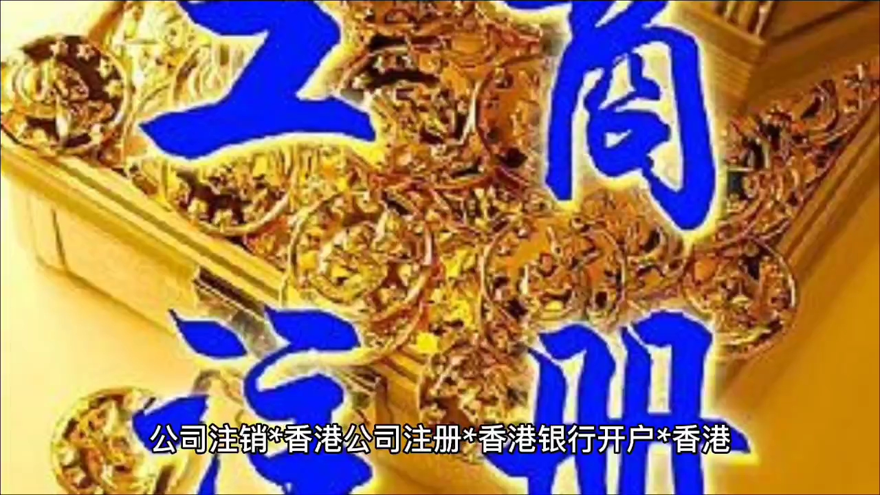 泉州登尼特财税服务项目有哪些?