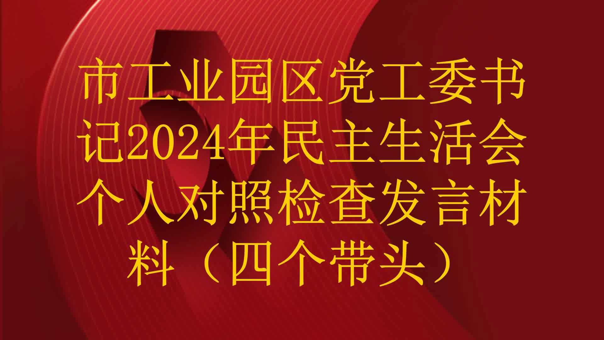 市工业园区党工委书记2024年民主生活会个人对照检查发言材料(四个...