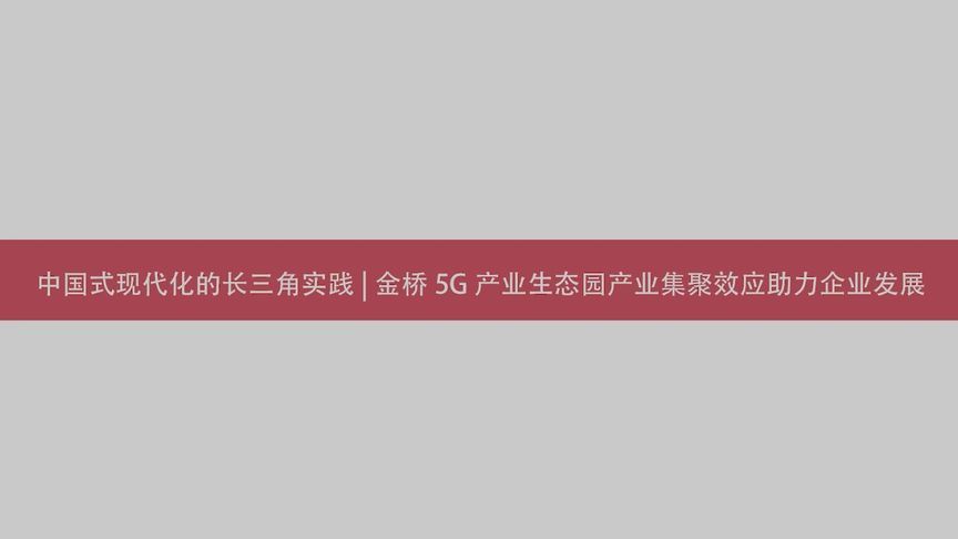 中国式现代化的长三角实践