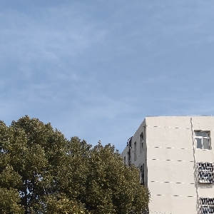 Gaooo同学 
