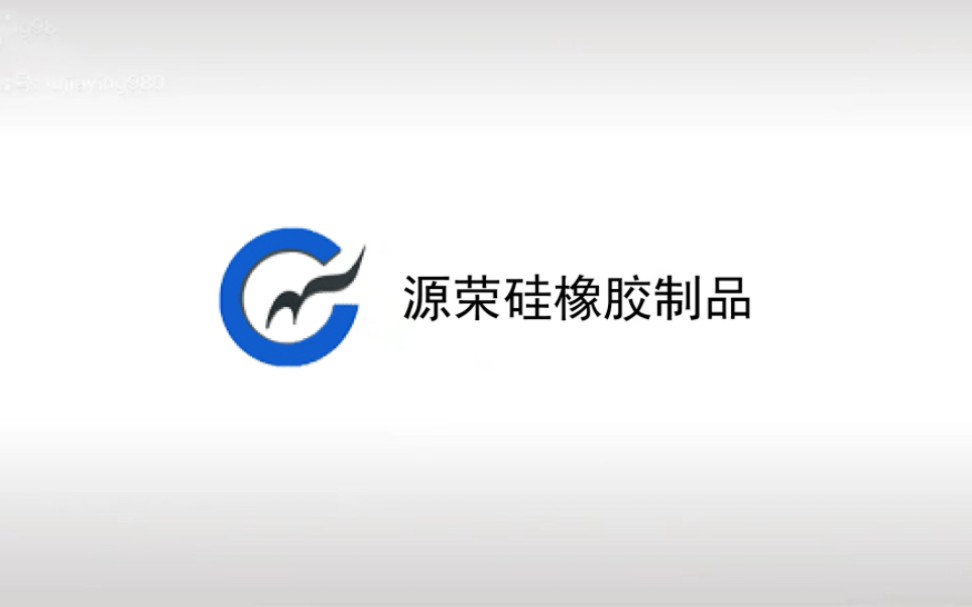 硅橡胶制品—企业简介