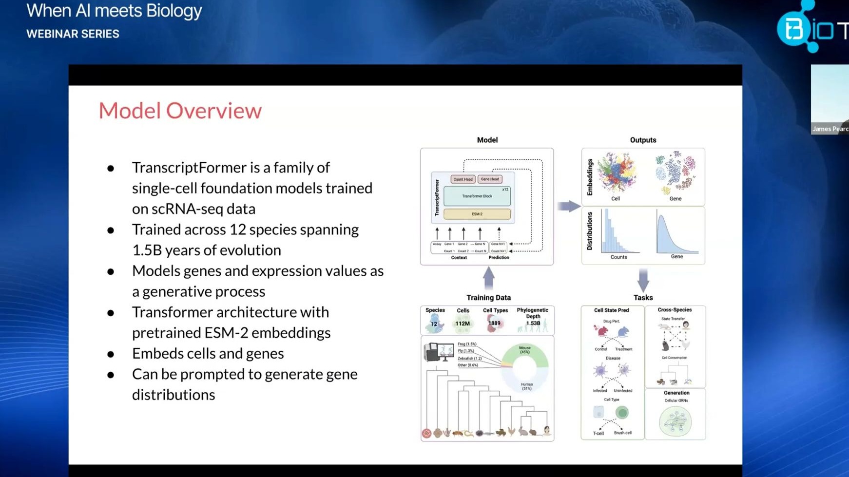 TranscriptFormer 单细胞模型 || James Pearce