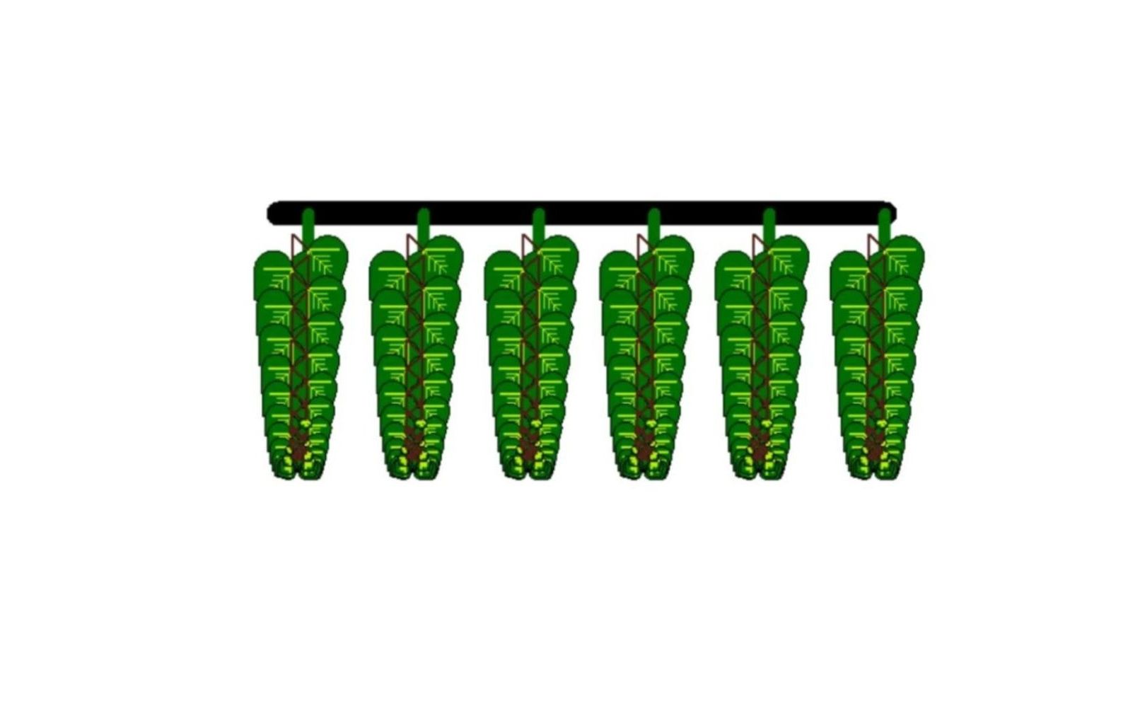 用python画六串绿色树叶