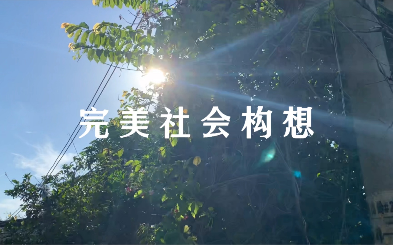 完美社会构想