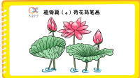 植物篇(4)荷花简笔画教程