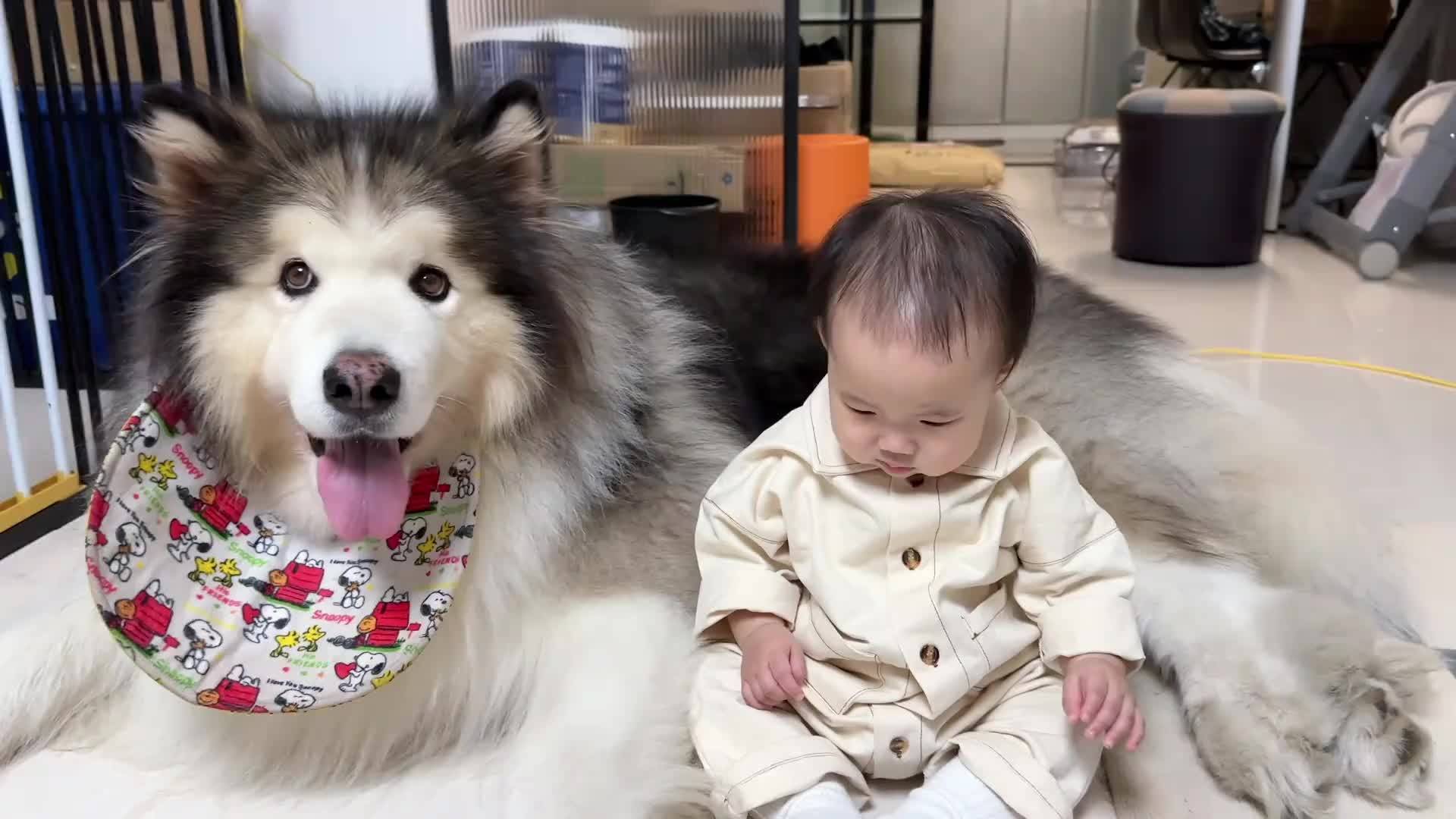 这不就是我以前想要的生活嘛