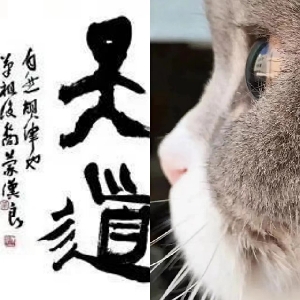 天道在三界 