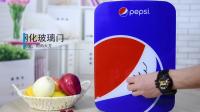 百事(pepsi)车载冰箱 15L车家两用迷你小冰箱小型家用学生宿舍办公室...