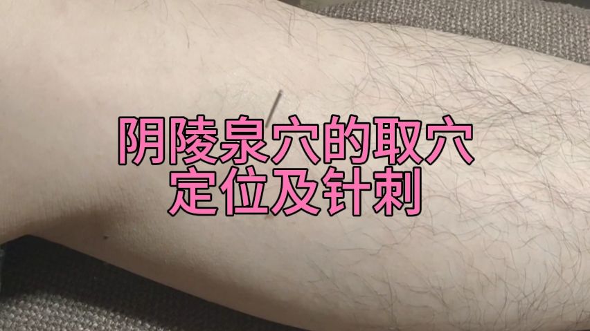 阴陵泉穴,足太阴脾经的合穴,有健脾祛湿的功效,是祛湿要穴。
