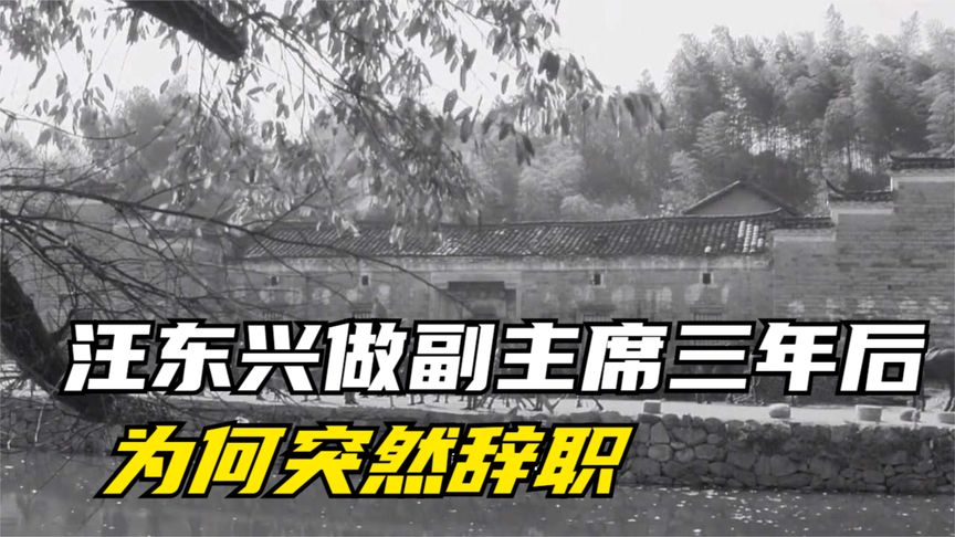 汪东兴做副主席三年后为为何突然辞职,他简短9个字回答!