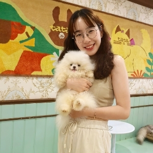 银河系的某颗欣 