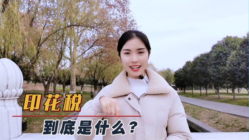 什么是印花税?#老板财税 #创业老板 #财税