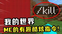我的世界:MC有趣酷炫指令,屏幕都装不下的血条