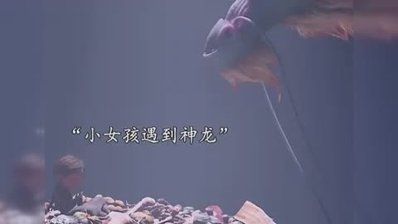 看最幼稚的动画明白最深的道理热门动画电影推荐动