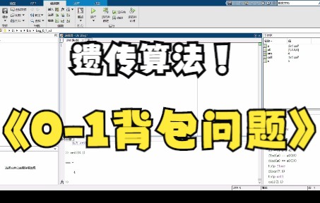用遗传算法解决0-1背包问题(编码部分)