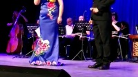 沈阳评剧院2017国庆演唱会王筱评 车德凯演唱《打金枝》孤坐江山选段