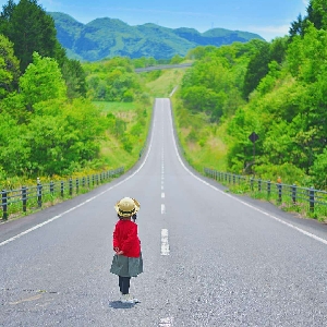 烧了玉米地 