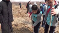 20180310植树活动视频10——植树1